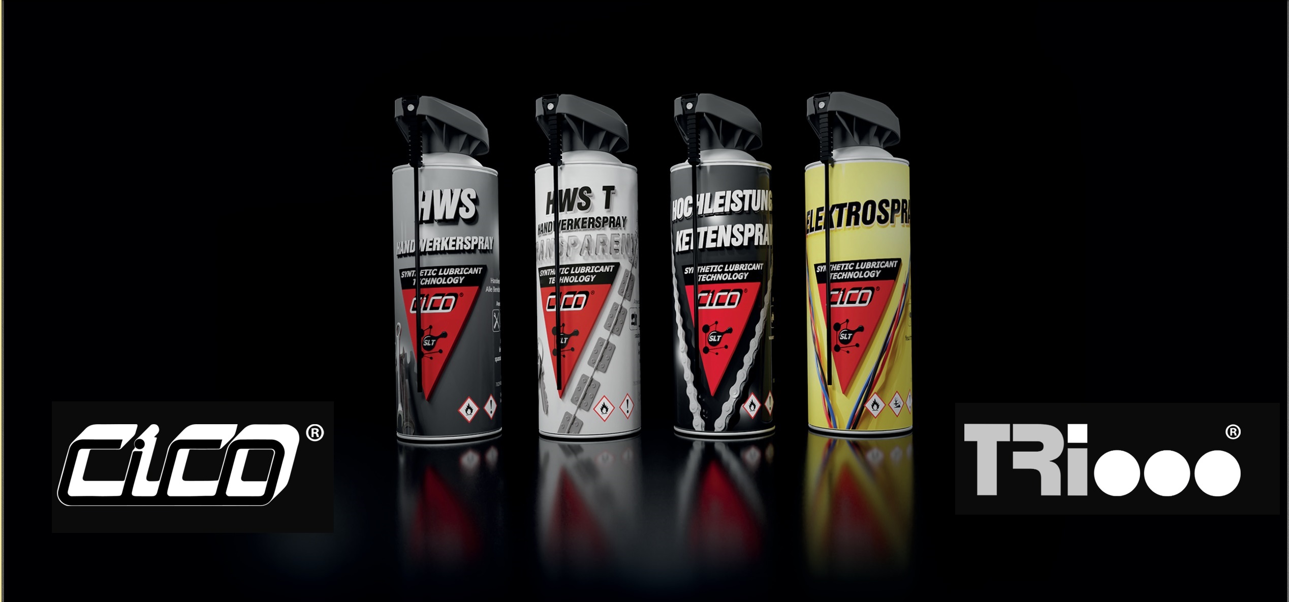 Kooperation mit der TRiooo Buildings Systems GmbH | CICO®